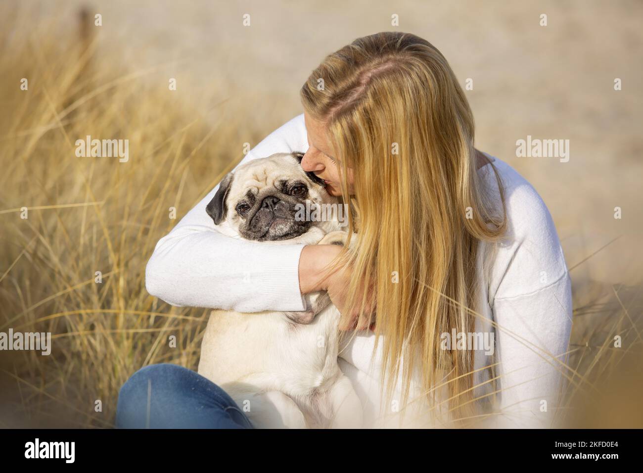 Pugs kissing hi-res stock photography and images - Alamy