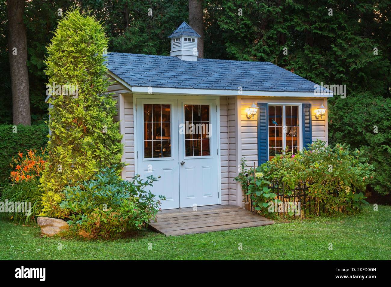 Tan and blue storage shed bordered by Thuja occidentalis - Cedar tree ...