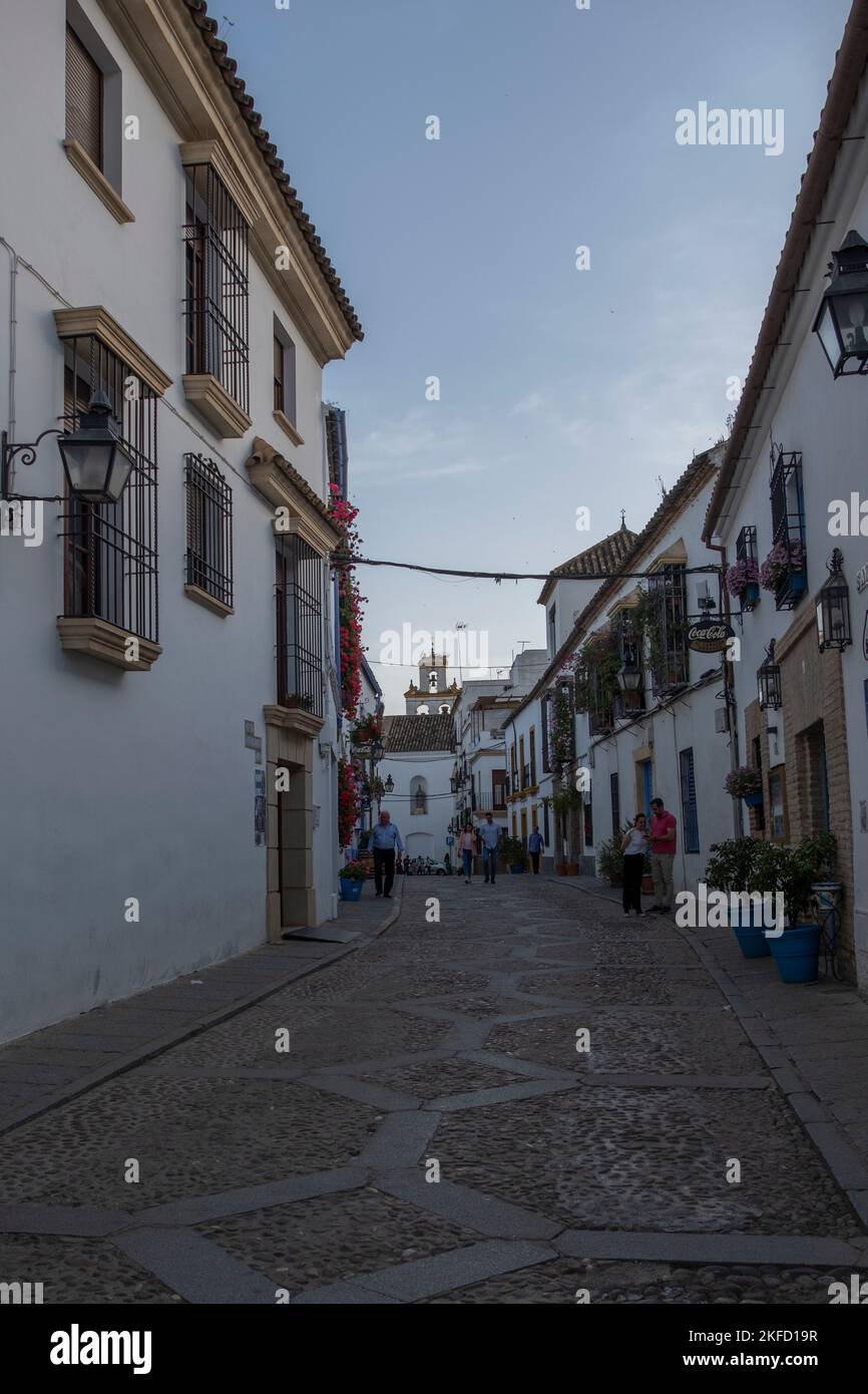 A vertical shot of narrow beautiful street with buildings with windows ...