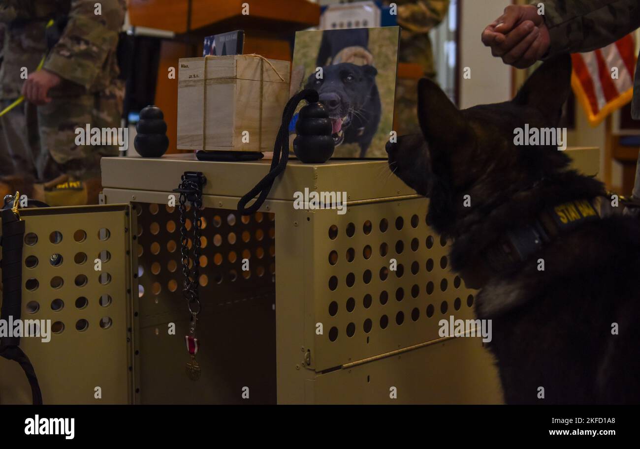 Military working dog Nex sniffs a kennel belonging to MWD Alan during a ...