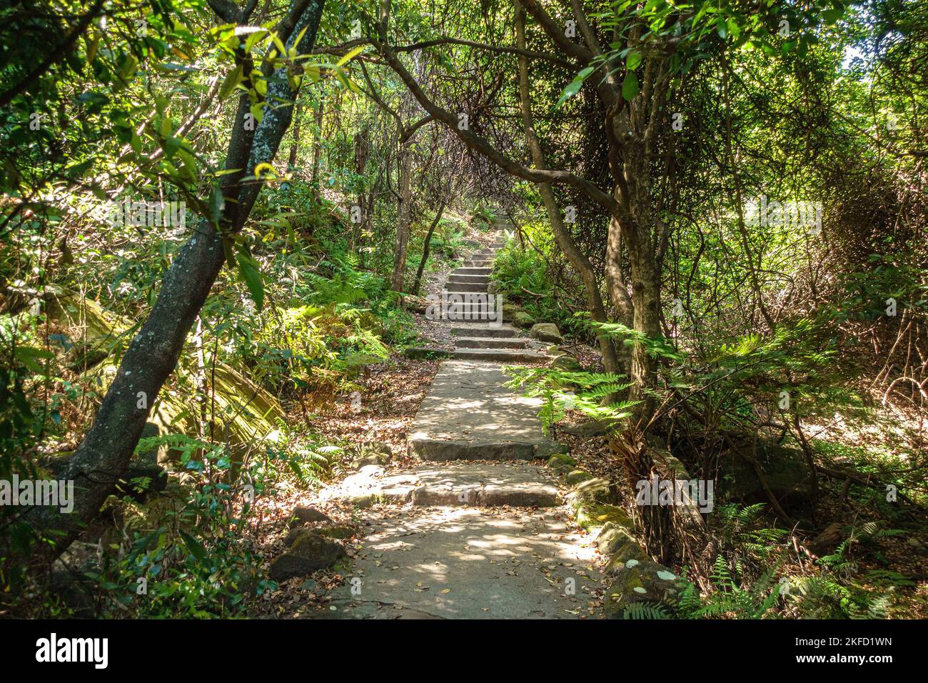Georges head walk hi-res stock photography and images - Alamy