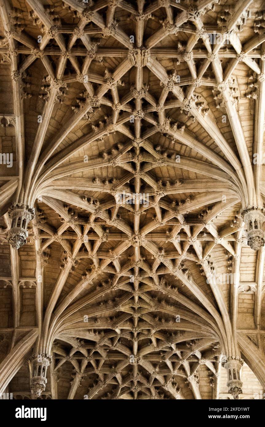 Fan vaulting in Christ Church Cathedral, Oxford, England Stock Photo ...