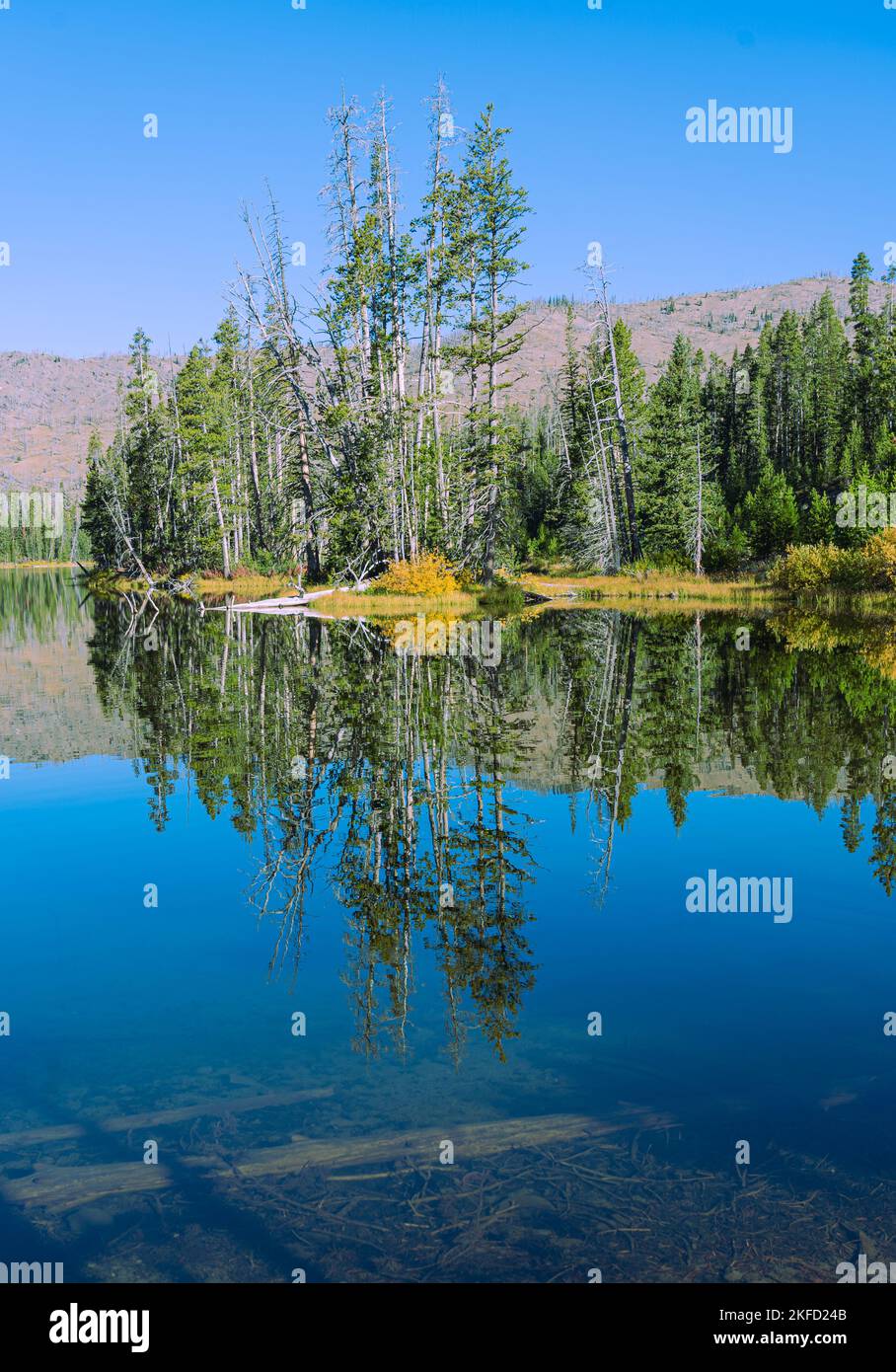 Water reflections show off the surrounding forest of trees and land at ...
