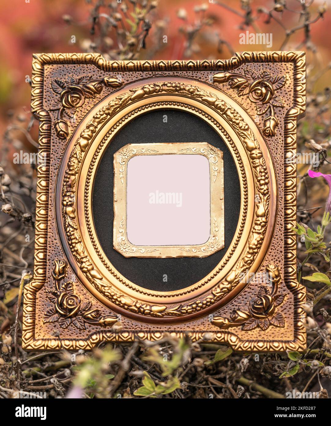 Gold border modern hi-res stock photography and images - Alamy