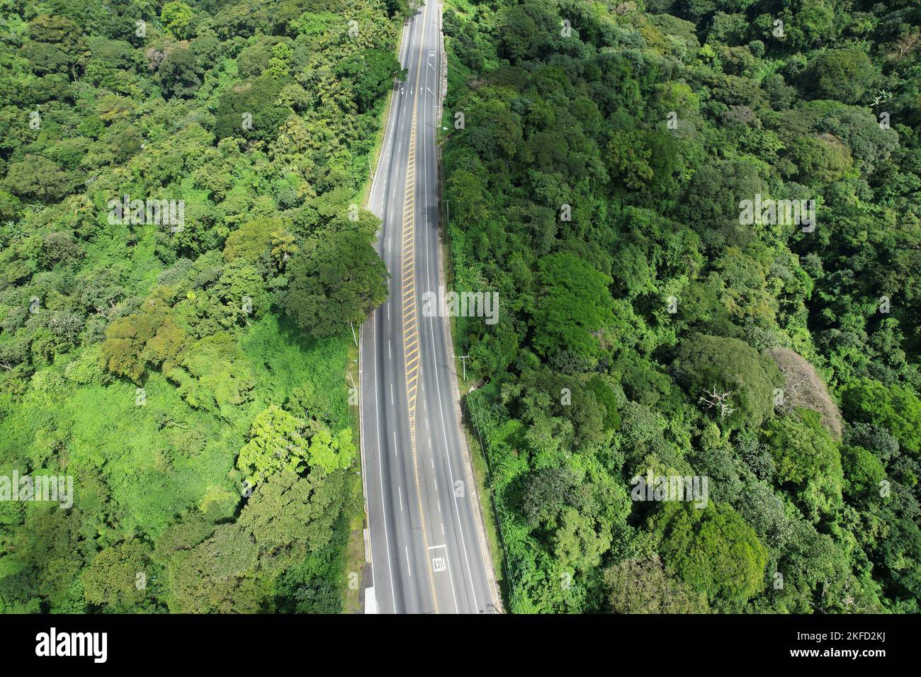 Wide asphalt road aerial view in green jungle background Stock Photo ...