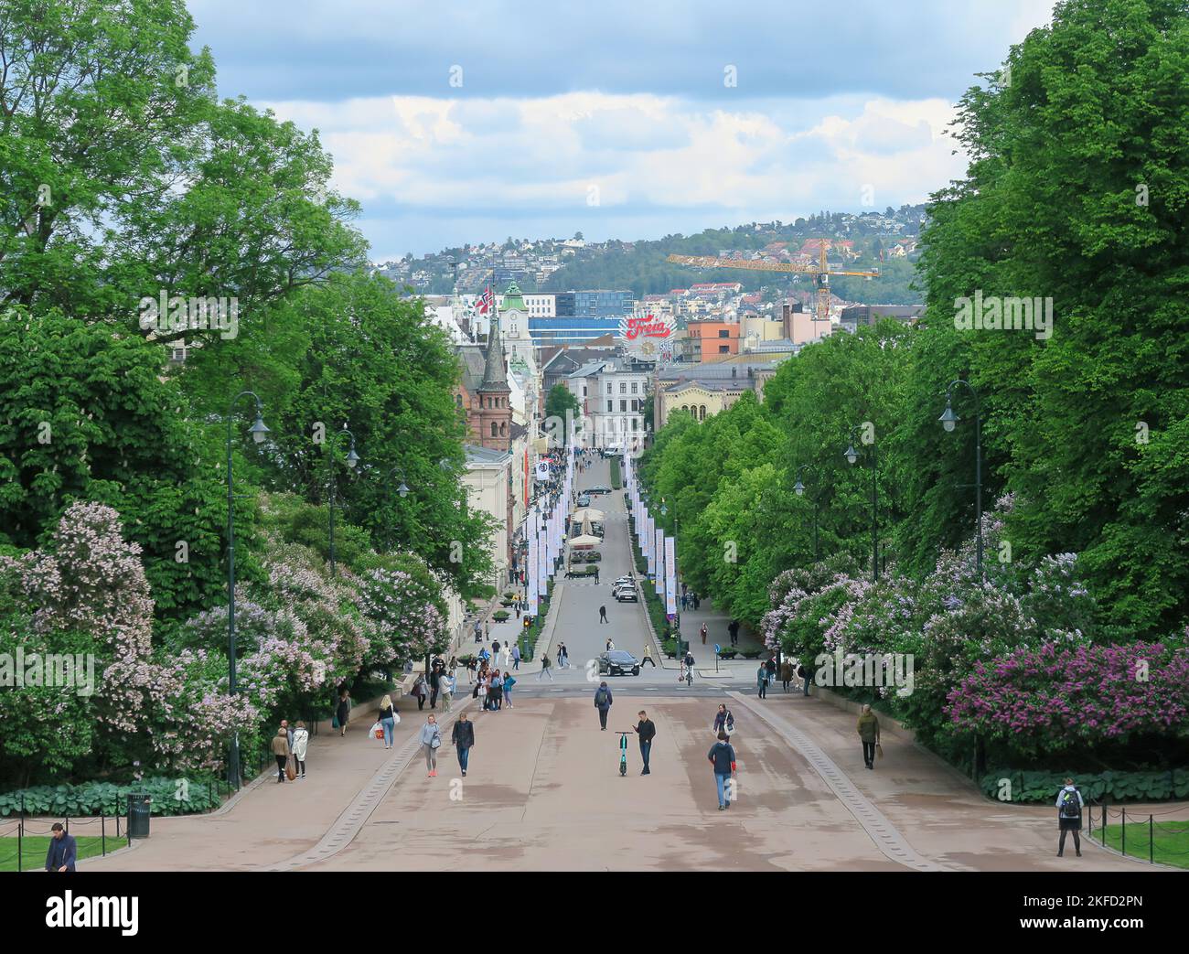 The crowded Karls Johan Gate street between green blooming trees in ...
