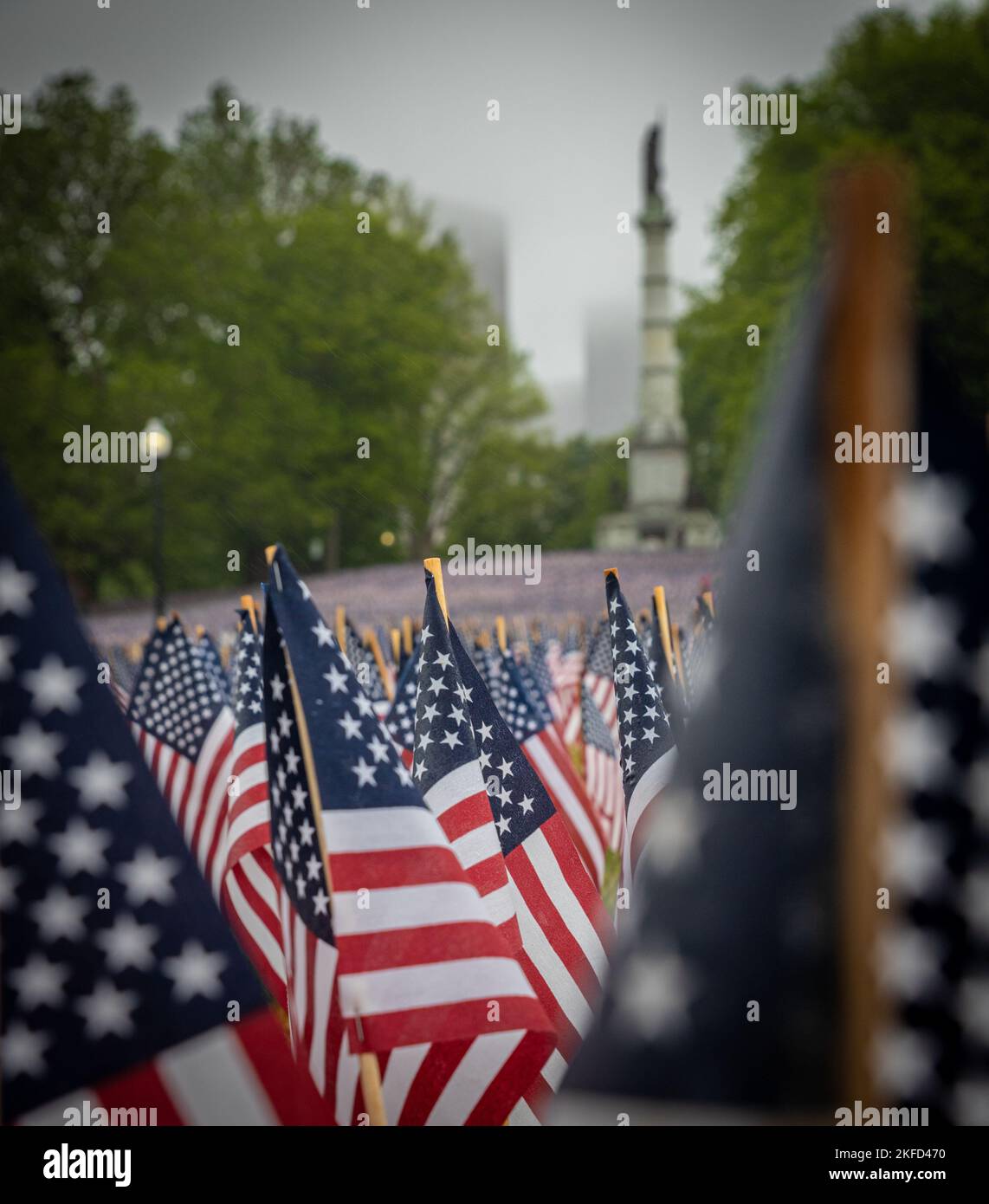 A shallow focus shot American flags in Boston Common in memorial to ...