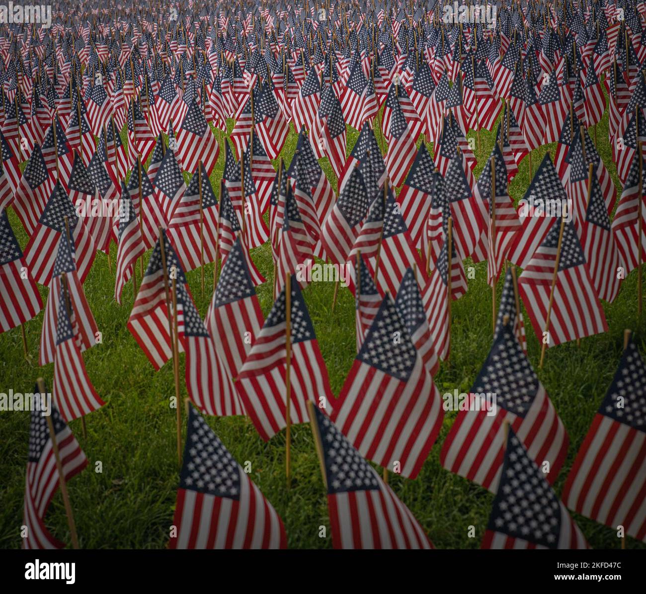 A thousands of American flags in a field in Boston Common in memorial ...