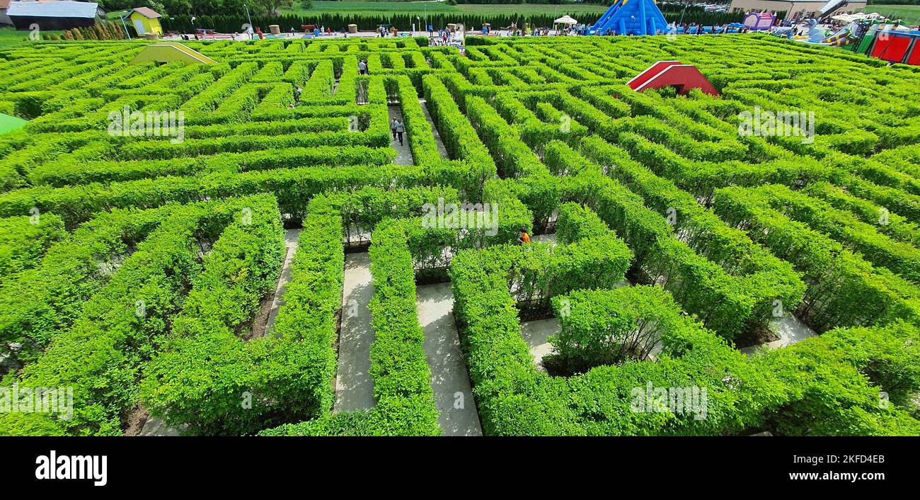 A top view of green hedge maze with bridges and concrete pathways Stock ...
