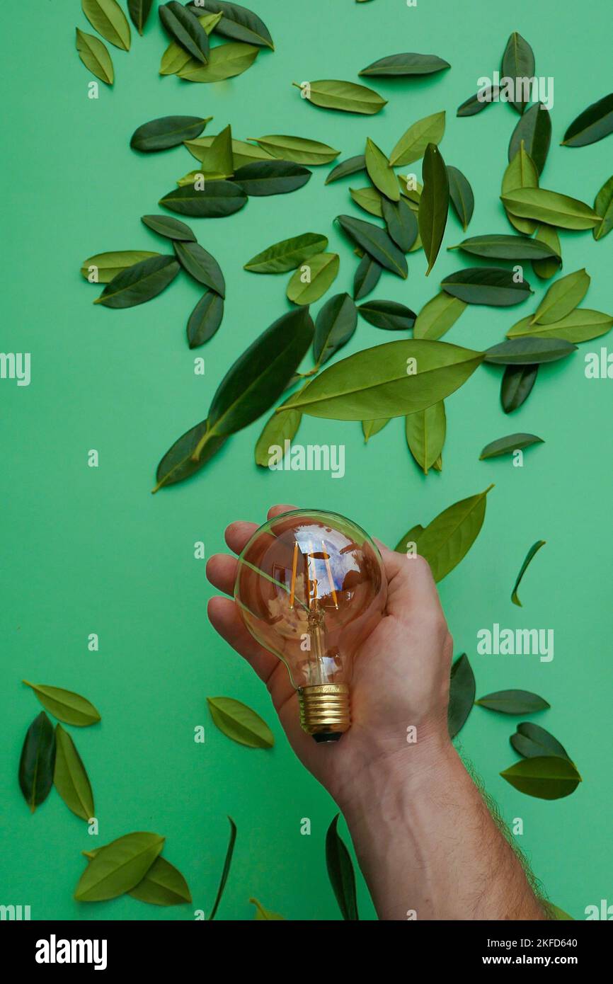 Green Energy. Electricity and green energy concept.Light bulb in a male ...
