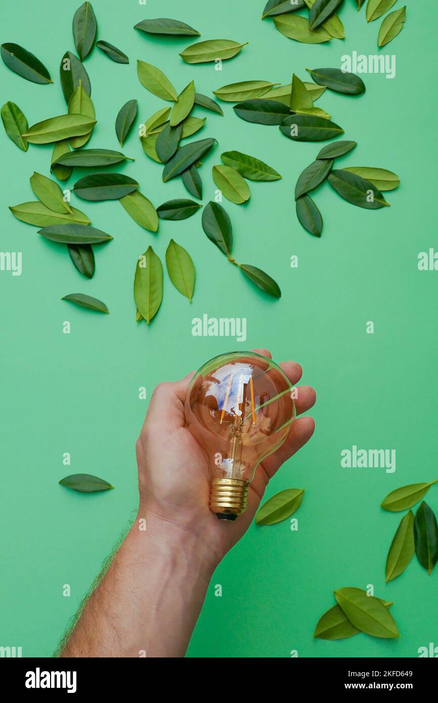 Green Energy Source. Light bulb in a male hand and green leaves on a ...