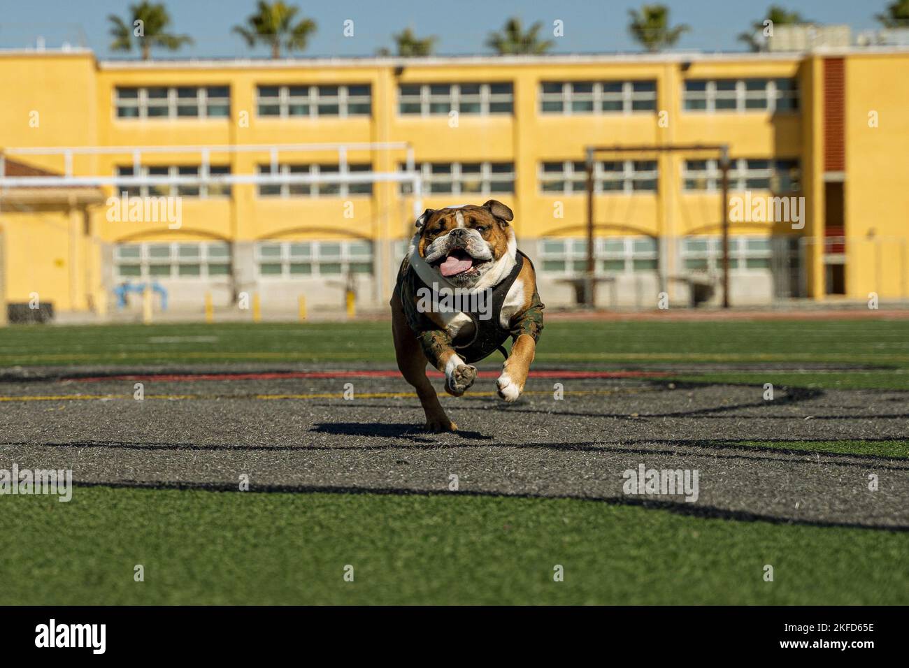 San Diego, California, USA. 14th Nov, 2022. U.S Marine Corps Cpl. Manny ...
