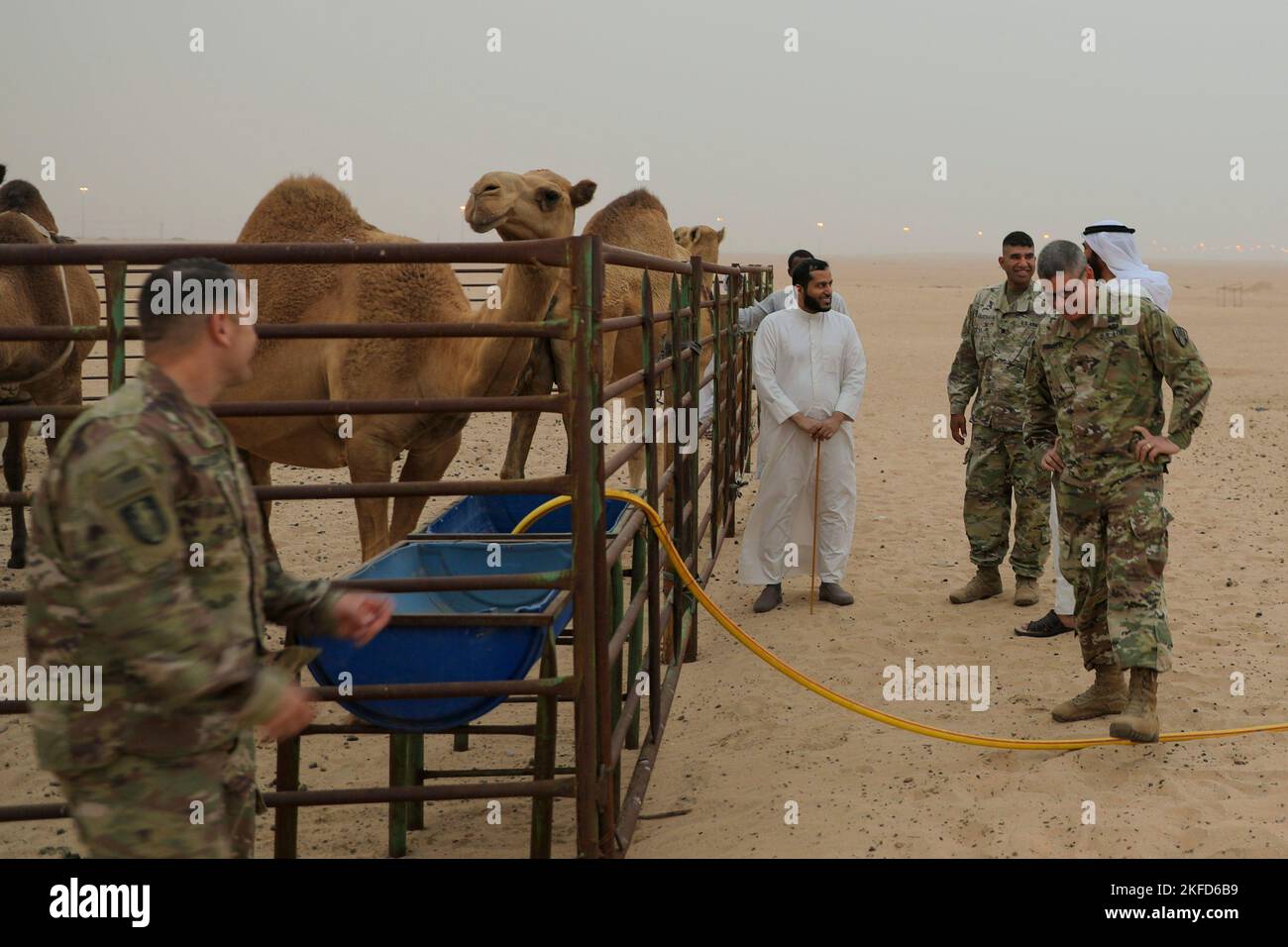 Kuwait. 2nd Nov, 2022. U.S. Army leaders with the 369th Sustainment Brigade enjoy a camel ...