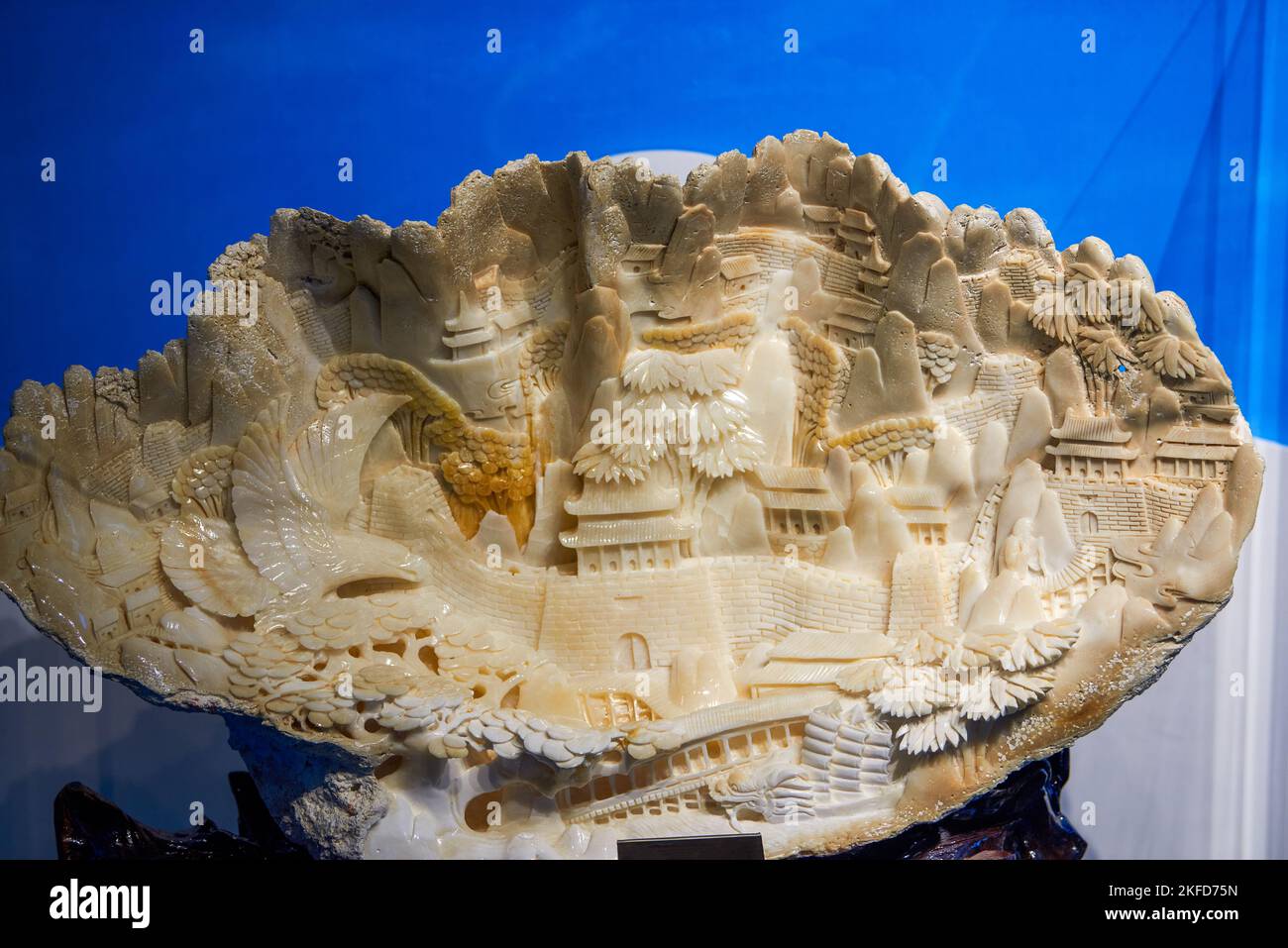 Large marine shell specimens of various shapes Stock Photo - Alamy