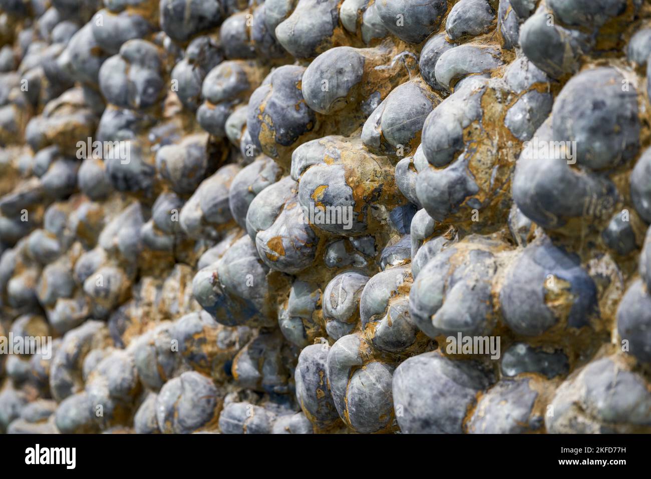 Dinosaur egg crystal hi-res stock photography and images - Alamy