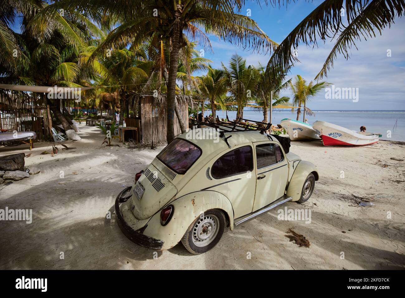 A famous classic car Volkswagen Kaefer on the beach with palms in ...