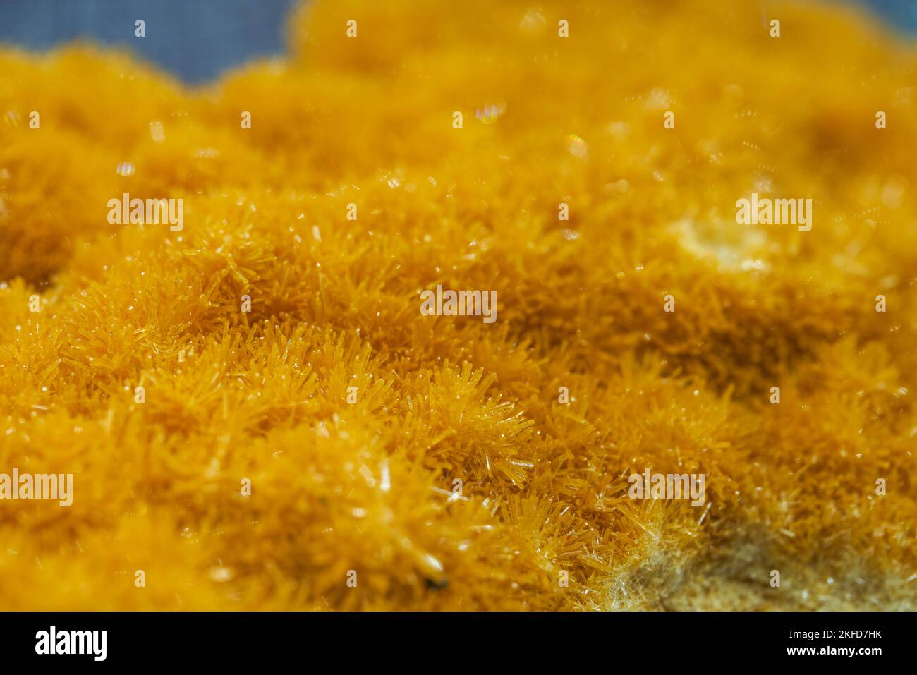 Close-up of naturally occurring rare yellow crystalline ore Stock Photo ...