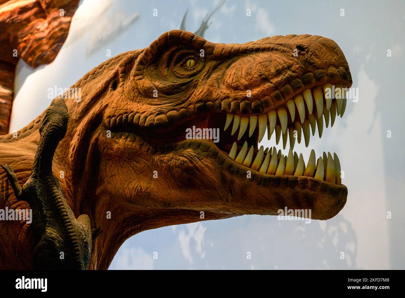 Dinosaur fossil close-up in ancient times Stock Photo - Alamy