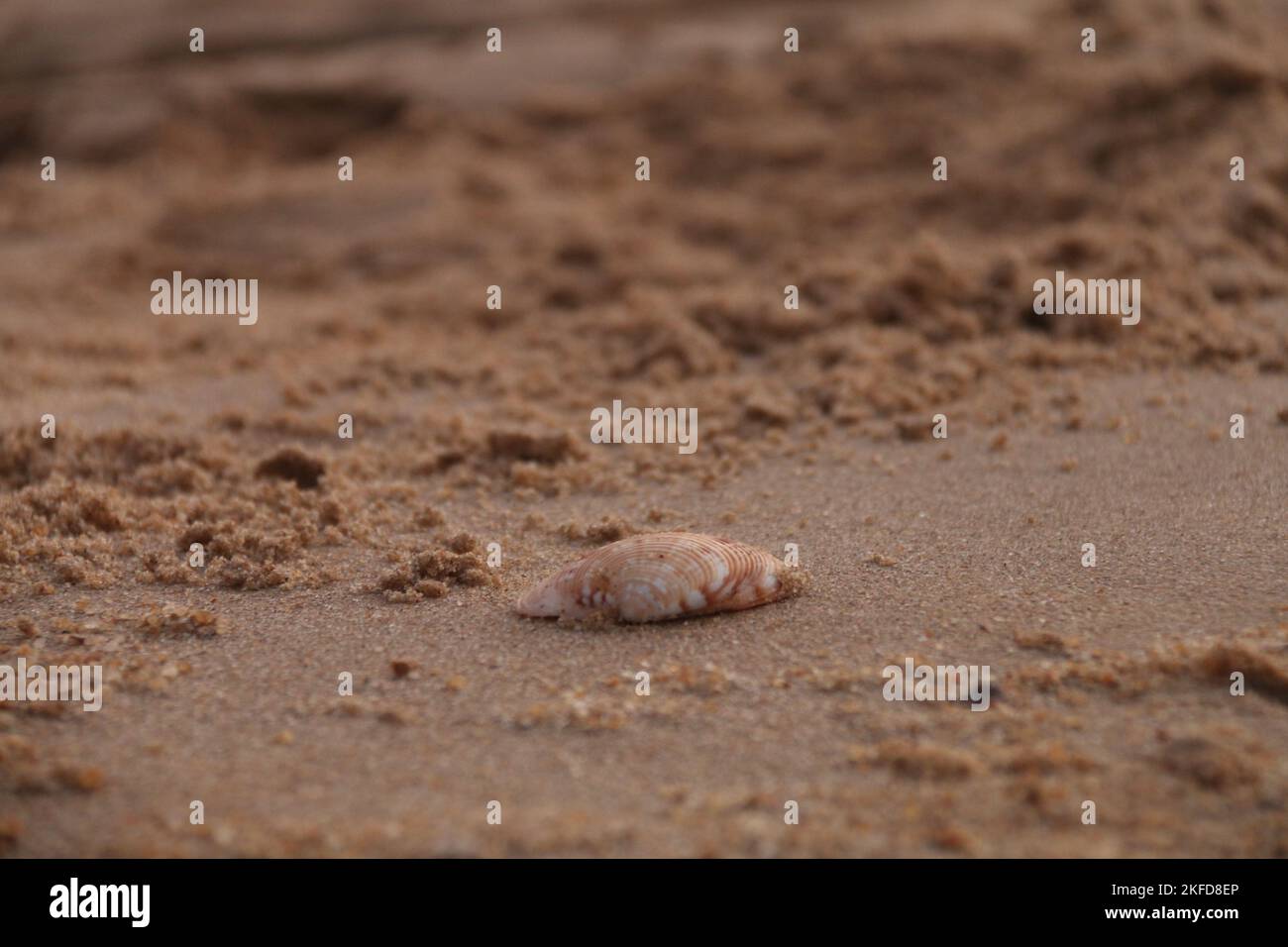 Perfect beach vibes hi-res stock photography and images - Alamy