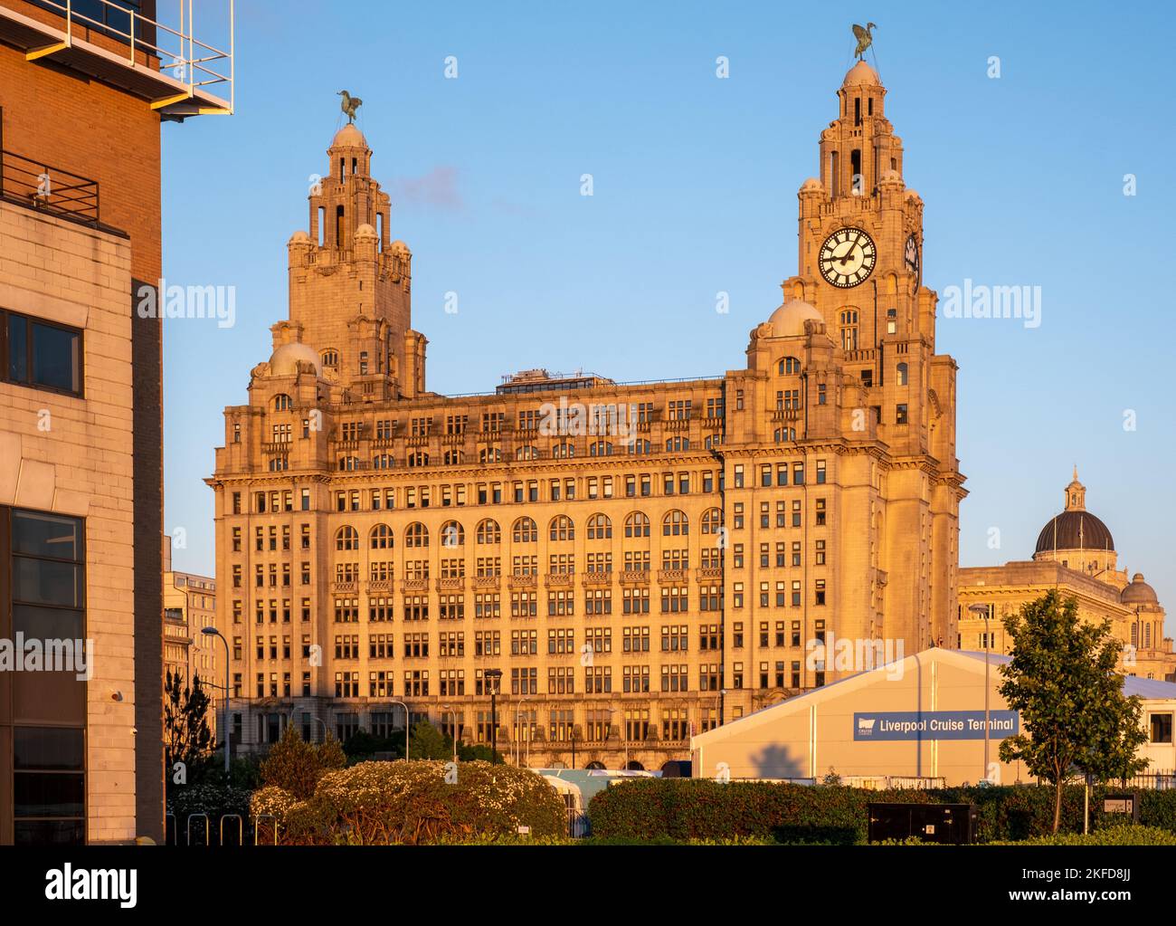A beautiful view of the Liver Building under the clear sky Stock Photo ...