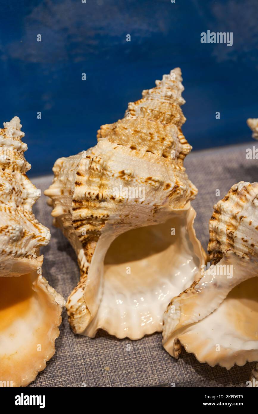 Exhibit spiral shapes hi-res stock photography and images - Alamy