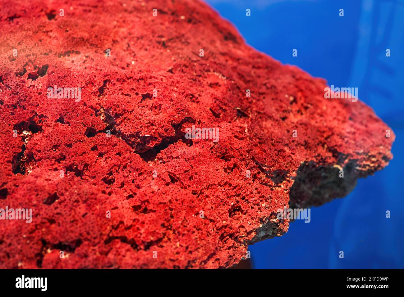 Closeup of naturally occurring rare red crystalline ore Stock Photo - Alamy