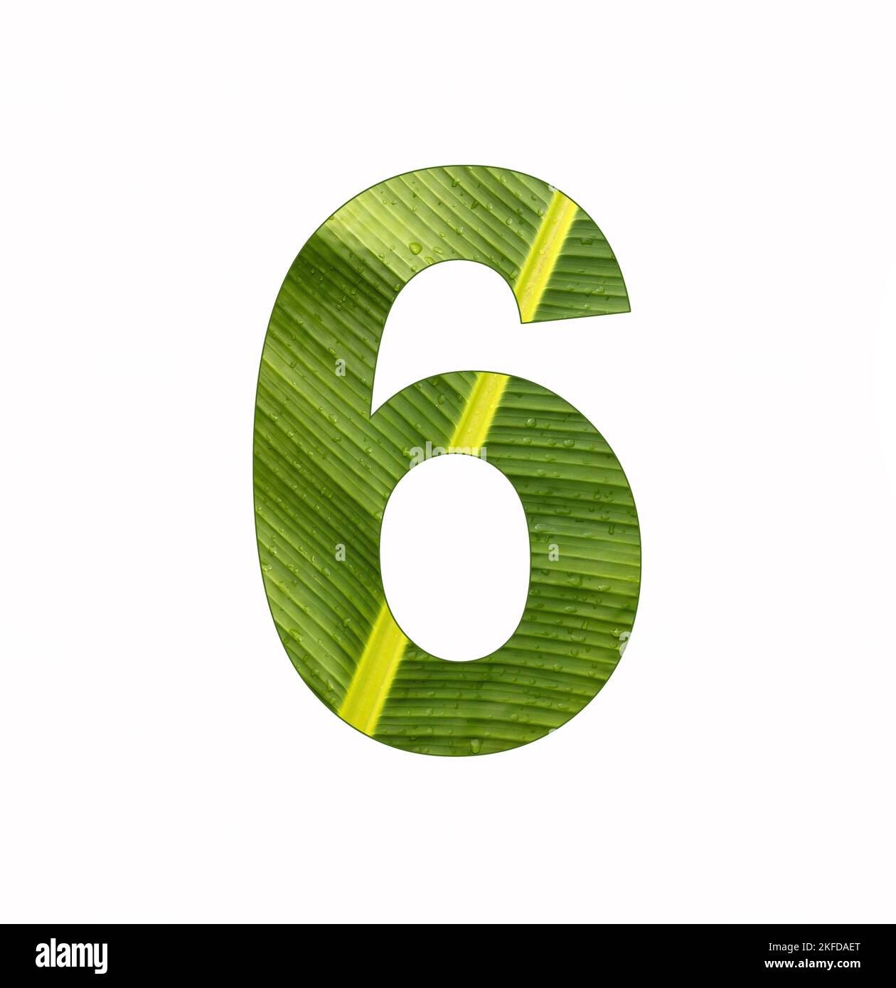 Number 6 - Digit six on banana plant leaf background Stock Photo - Alamy