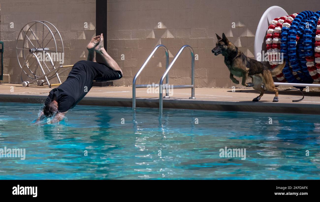 Tech. Sgt. Thomas Navarre, 72nd Security Forces Squadron kennel master ...