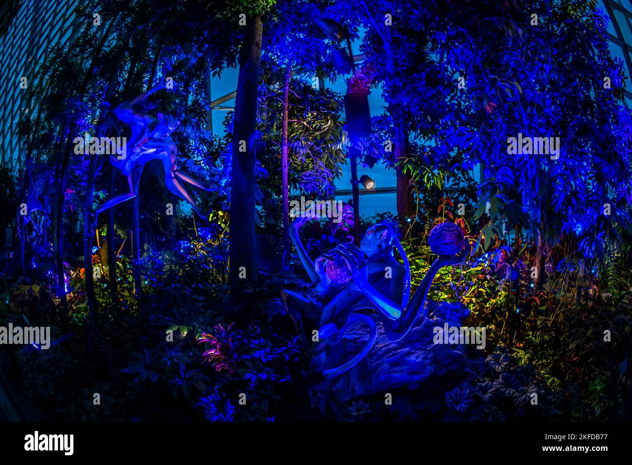 Prolemuris hi-res stock photography and images - Alamy