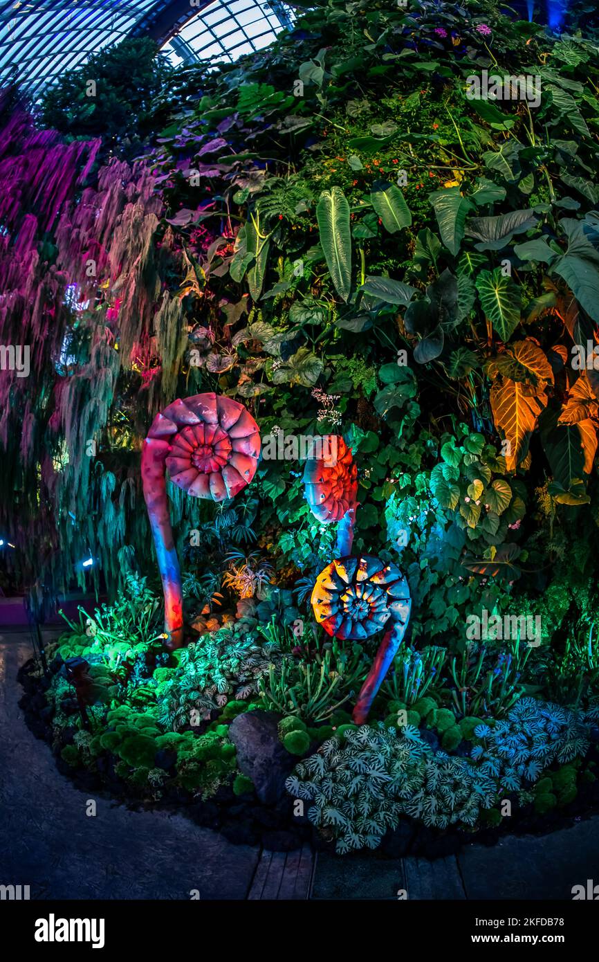 Avatar -The Experience at Clouds Forest, Gardens by the bay, Singapore ...