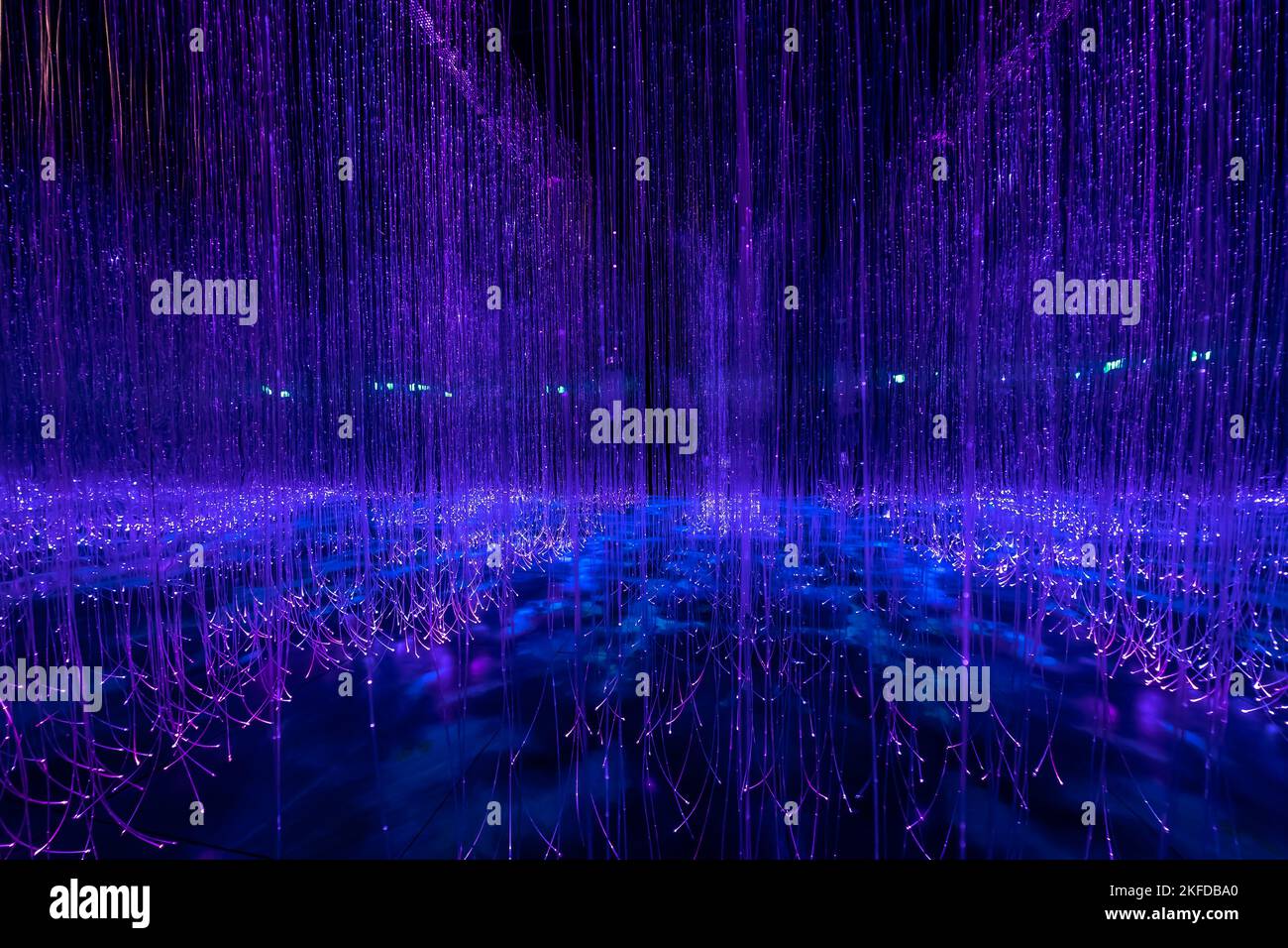 Rain tree singapore botanic gardens hi-res stock photography and images ...