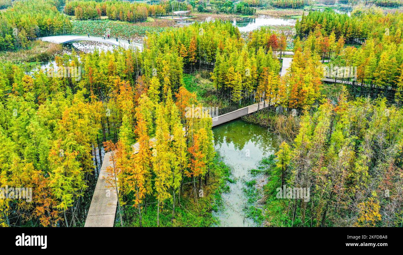 NANCHANG, CHINA - NOVEMBER 17, 2022 - Aerial photo shows the colorful ...