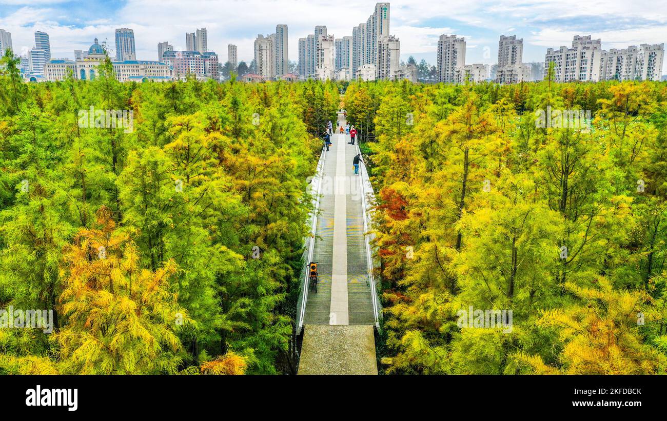 NANCHANG, CHINA - NOVEMBER 17, 2022 - Aerial photo shows the colorful ...