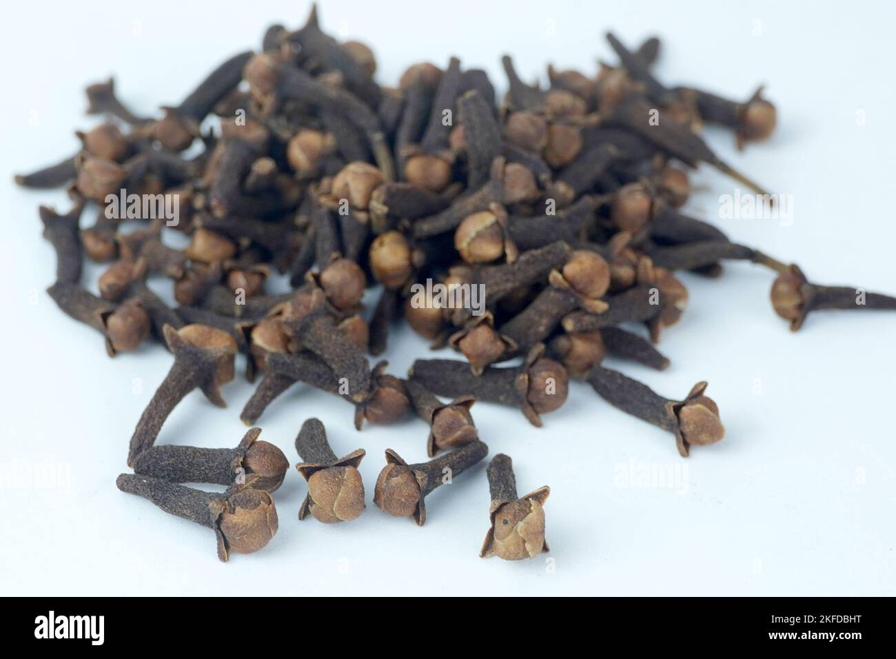 A close up shot of pile of cloves isolated on a white background Stock ...
