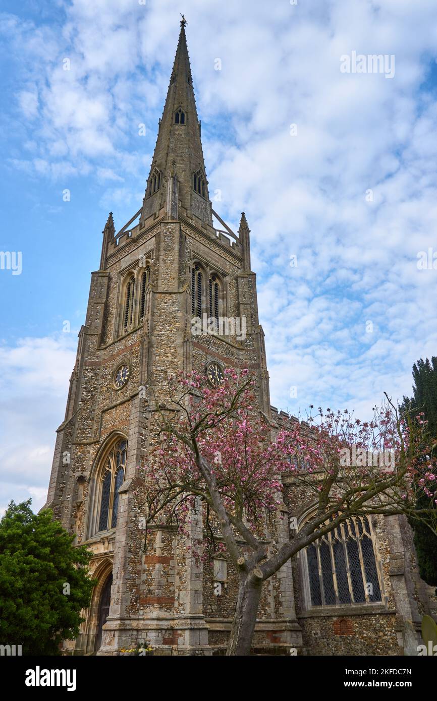 Saint John the Baptist Church in Thaxted, Essex UK built between c ...
