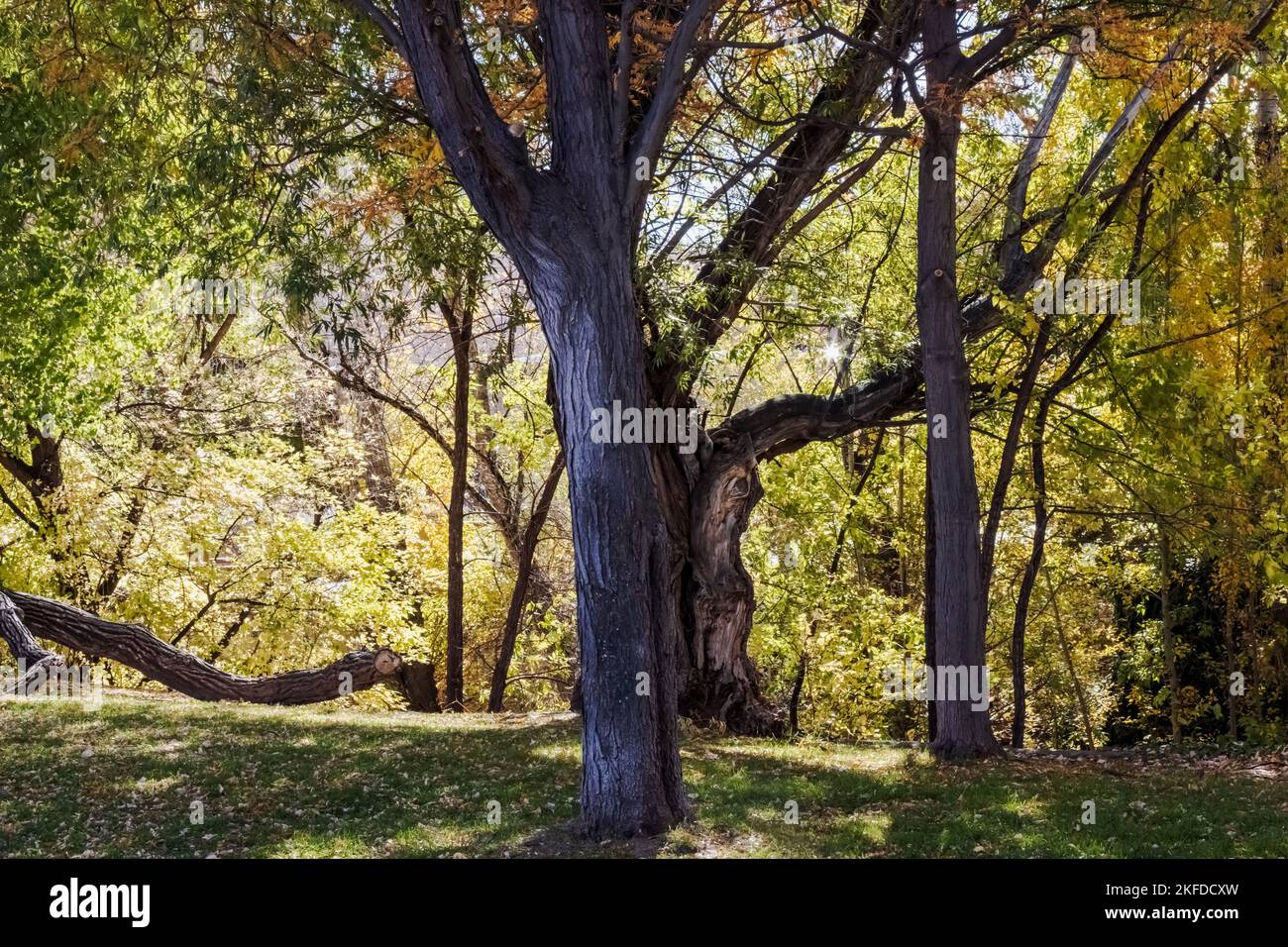 Partly sunlit hi-res stock photography and images - Alamy
