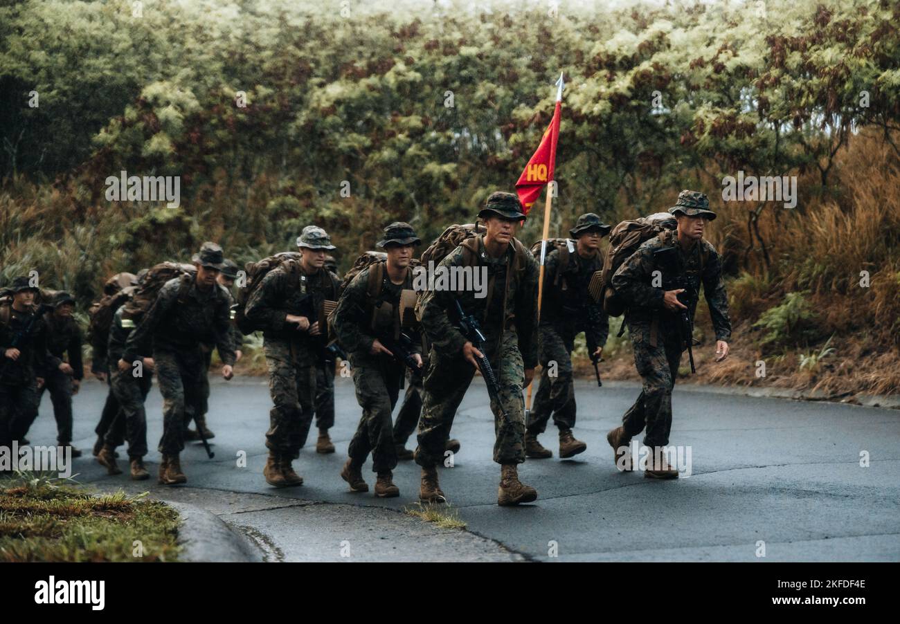 U.S. Marines with 3d Marine Littoral Regiment, 3d Marine Division ...