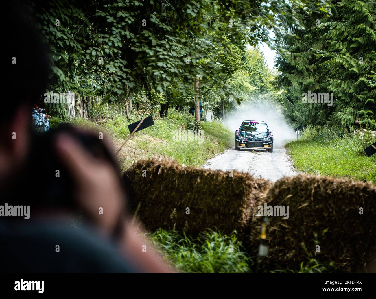 A black rally car racing on the road through a green forest at the ...