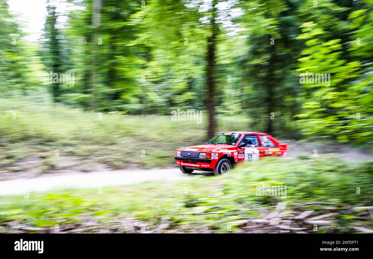 A red rally car racing on the road through a green forest at the ...