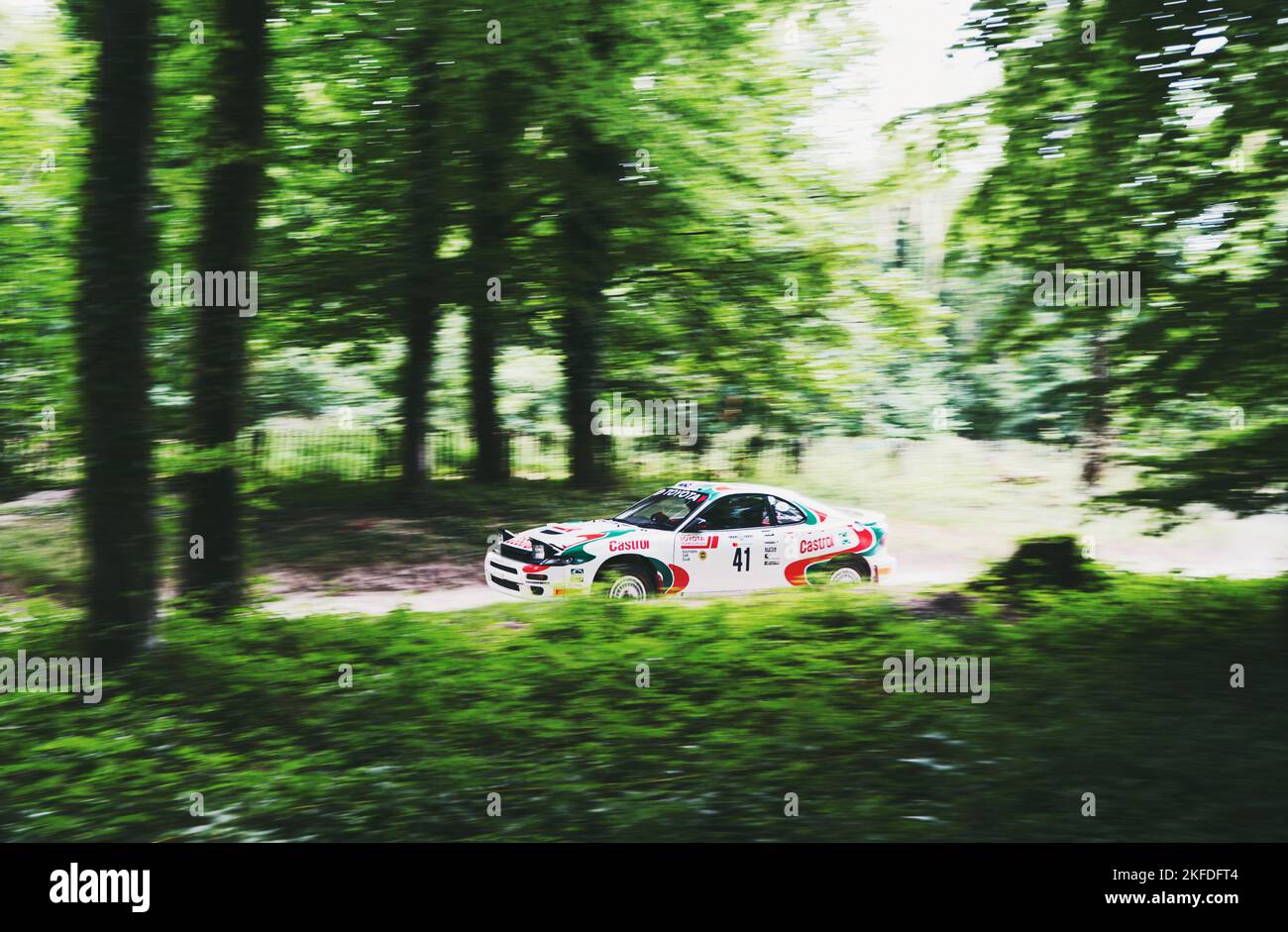 A white rally car racing on a road through a green forest at the ...
