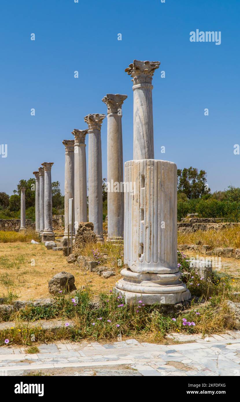 Ancient Greek columns in Salamis Ruin Park, Northern Cyprus Stock Photo ...