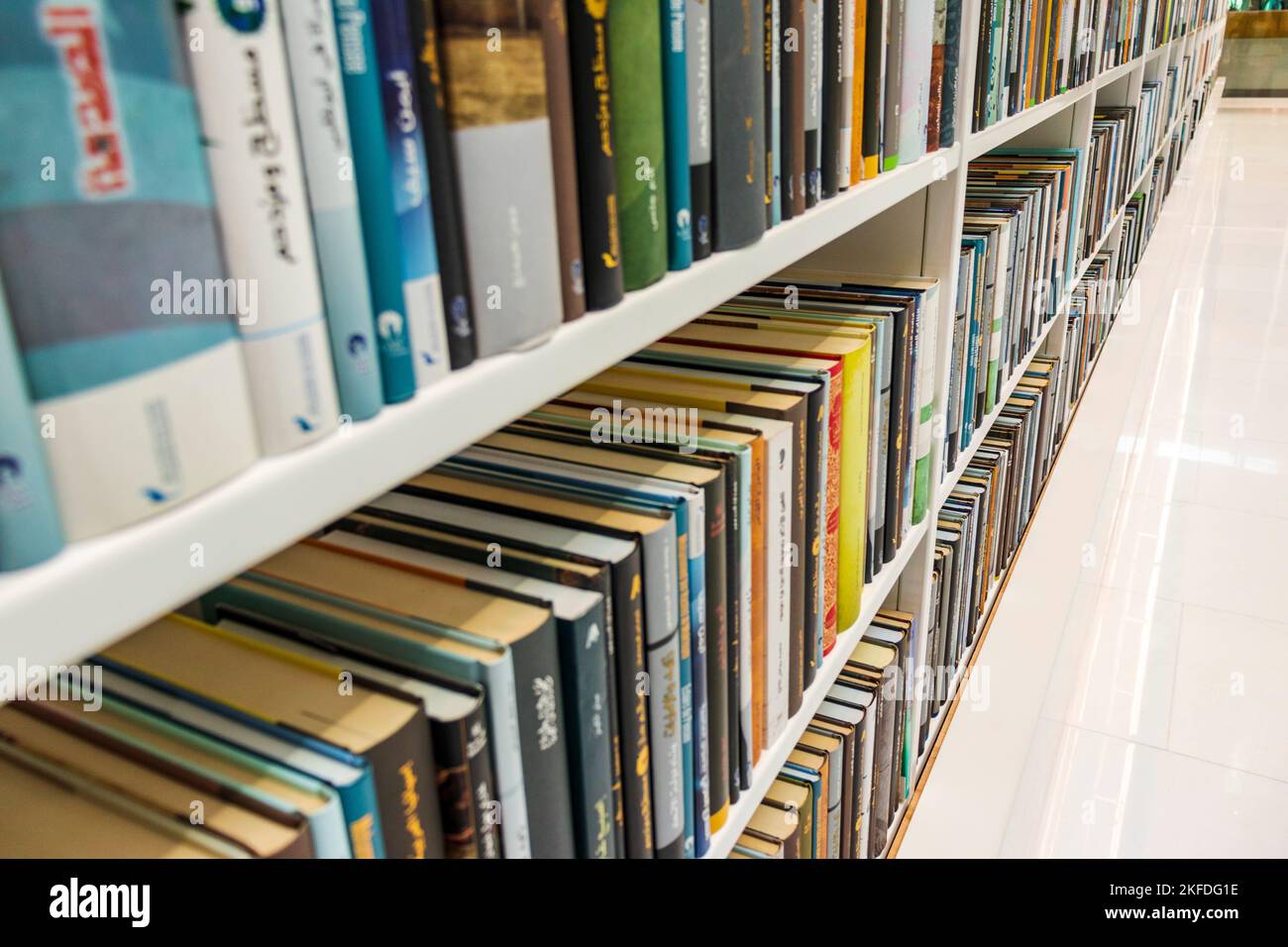 Studying bookshelves hi-res stock photography and images - Alamy