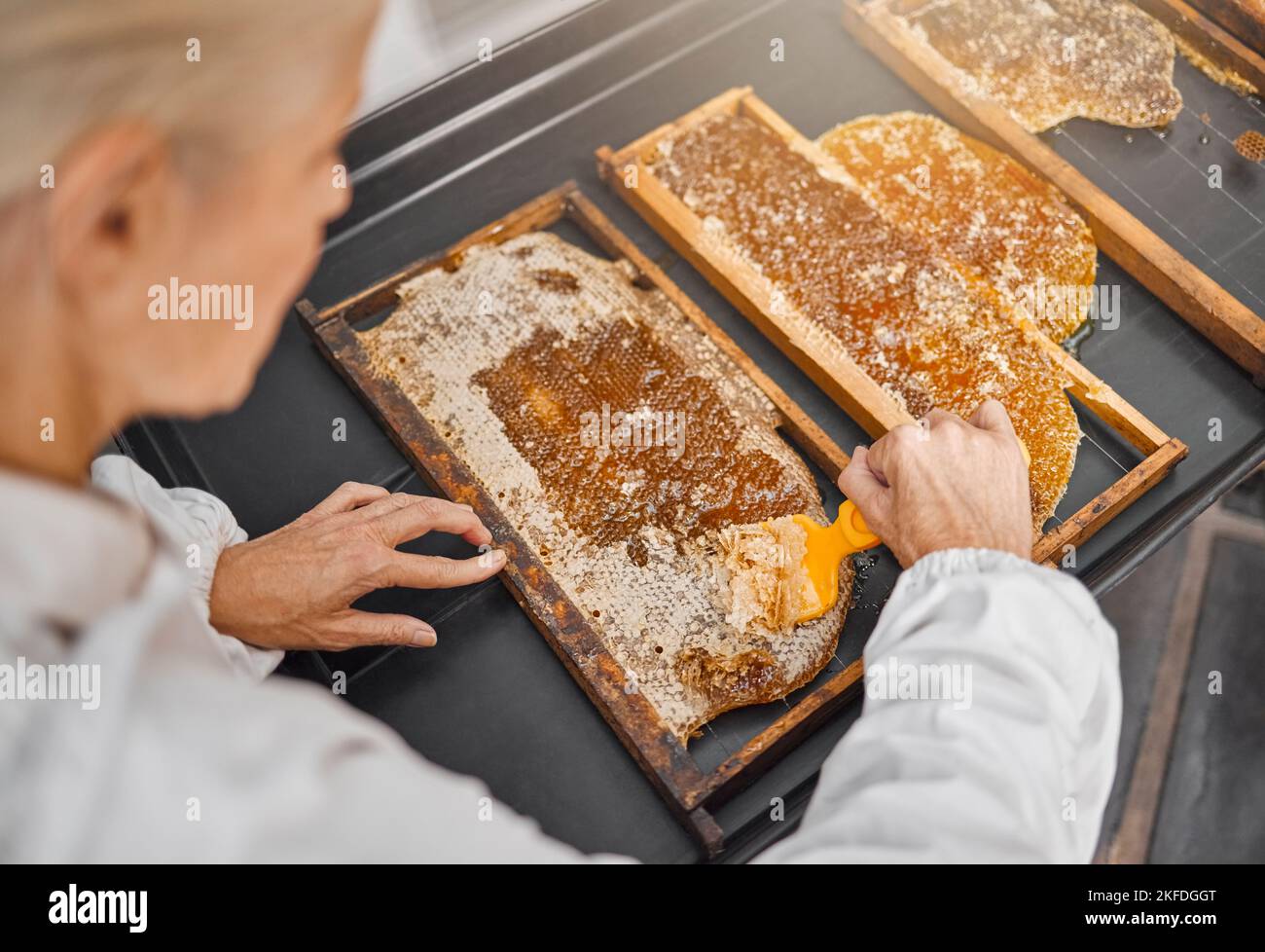 Beekeeper, honey production and honeycomb at farm for food, health or ...
