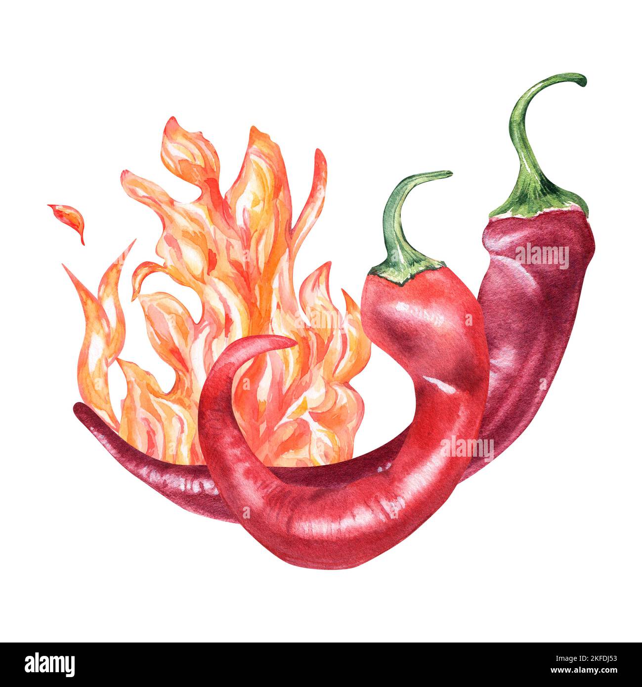 Red chili hot peppers on fire watercolor illustration isolated on white ...