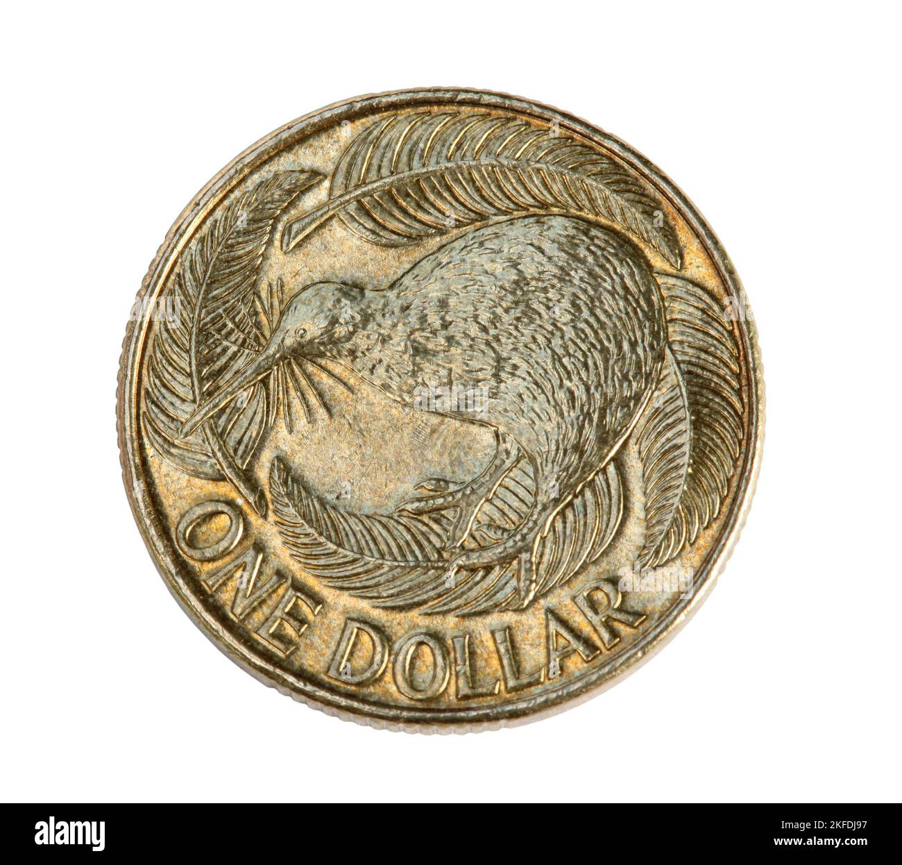 A New Zealand one dollar coin isolated on white Stock Photo - Alamy