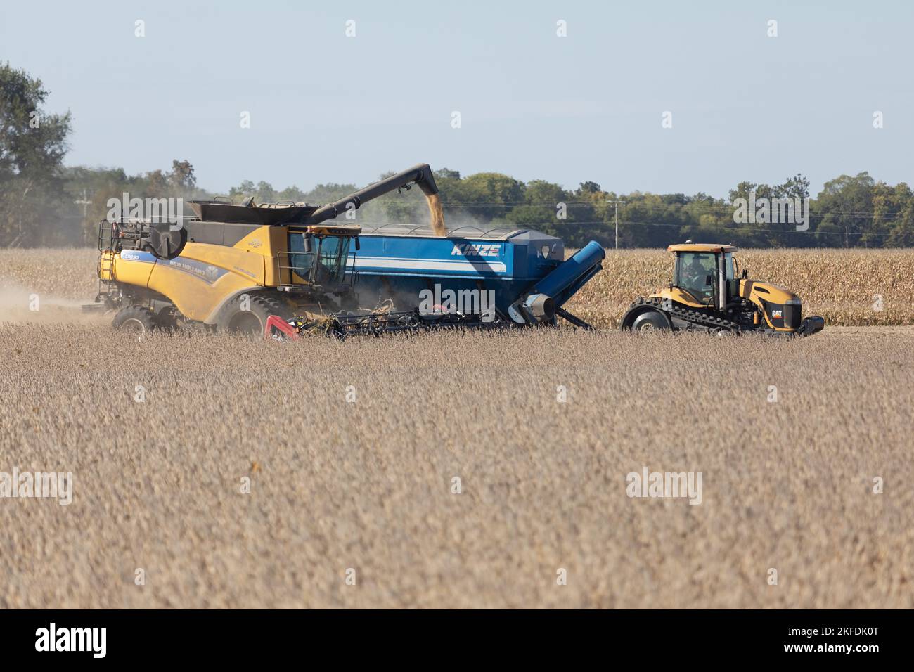 Usa illinois soybean field hi-res stock photography and images - Alamy