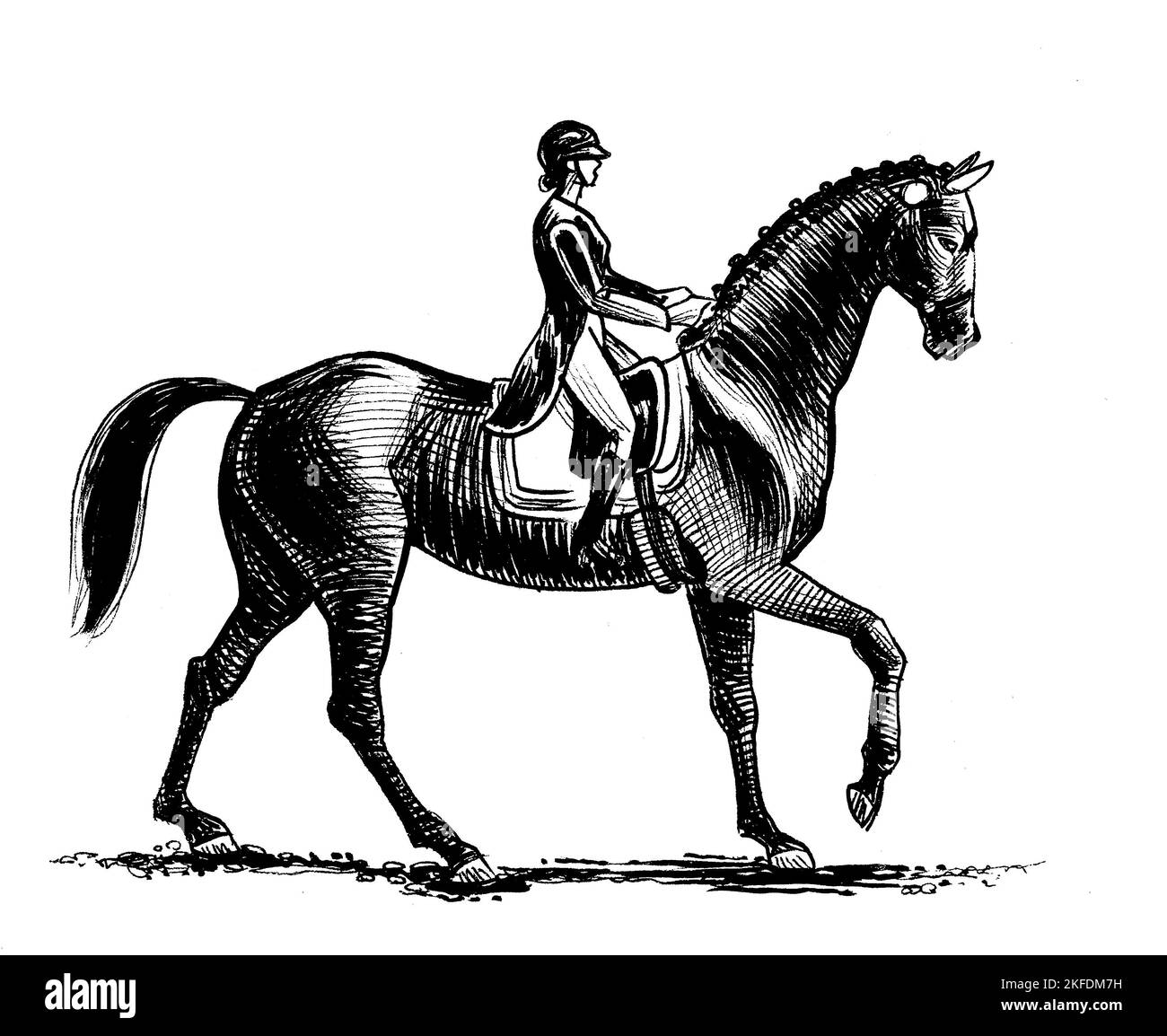 Female jockey riding a horse. Ink black and white drawing Stock Photo ...