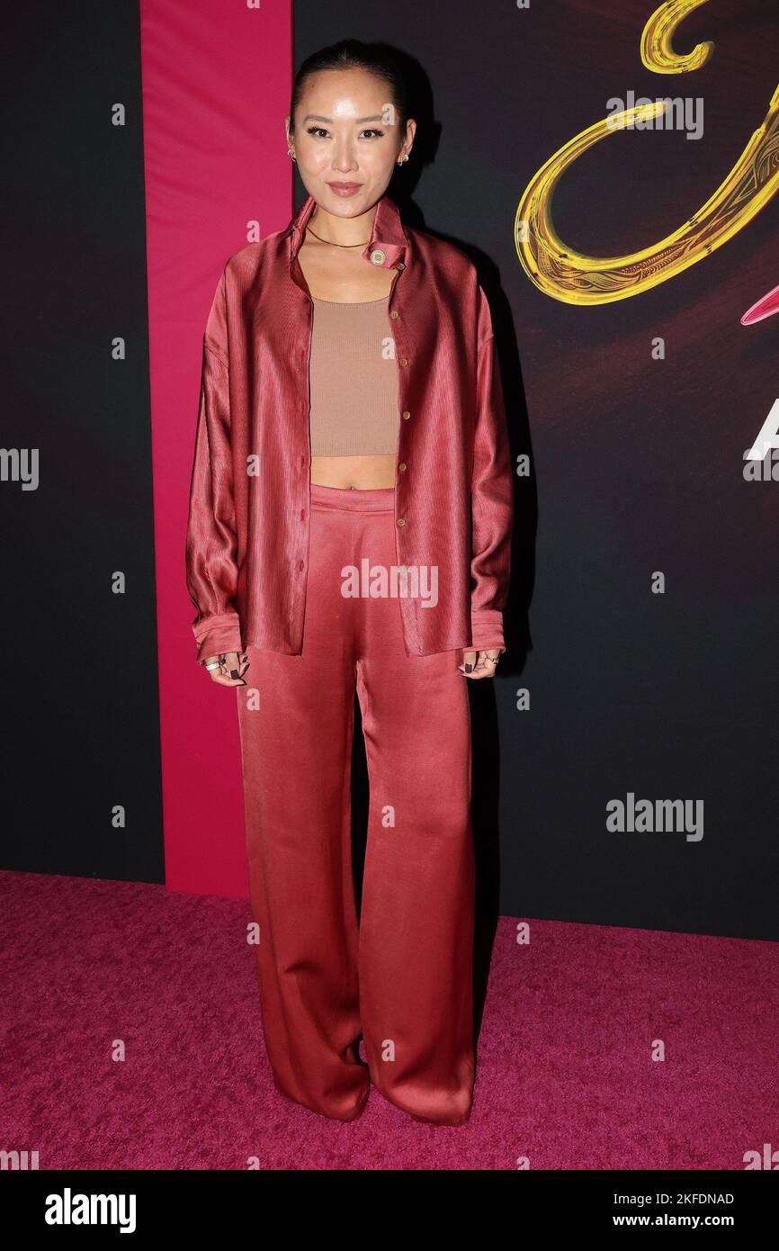 New York, NY, USA. 17th Nov, 2022. Li Jun Li in attendance for JULIET ...