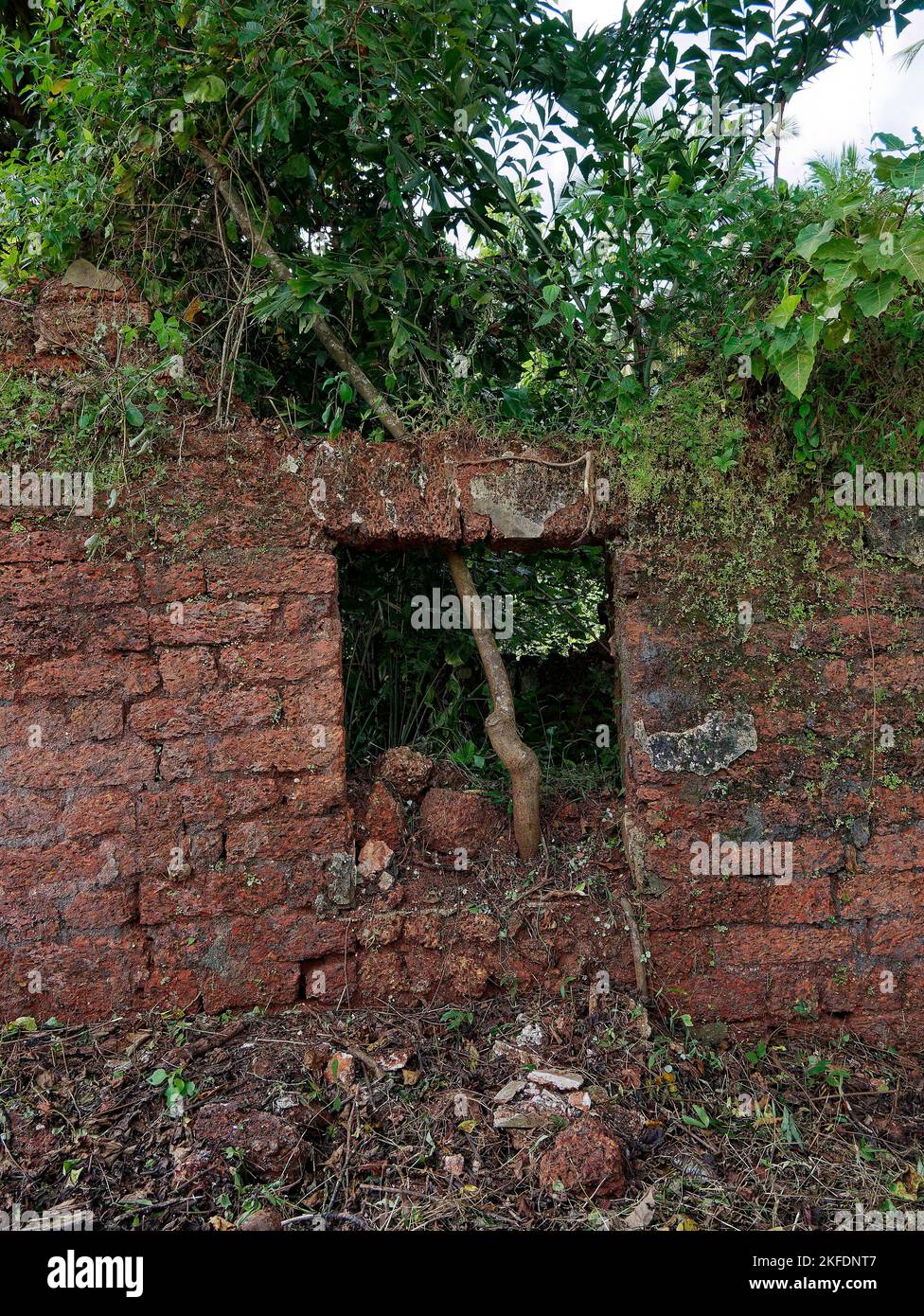 Betul, india hi-res stock photography and images - Alamy