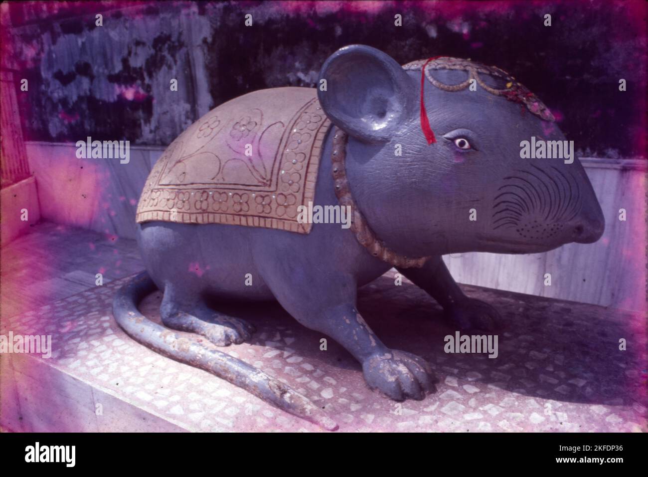 Ganeshas carrier hi-res stock photography and images - Alamy